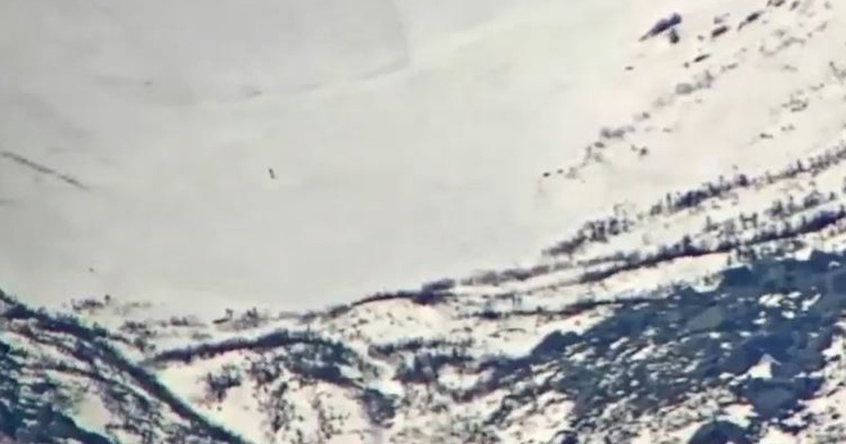 Watch: Snowboarder outruns avalanche on Mount Washington | FOX 32 Chicago