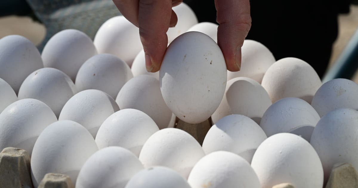 A third of Americans stopped buying eggs; won't revert back until ...