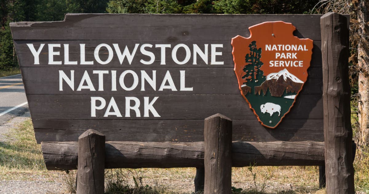 Drunk driving blamed in Yellowstone crash that killed tourists, pickup ...