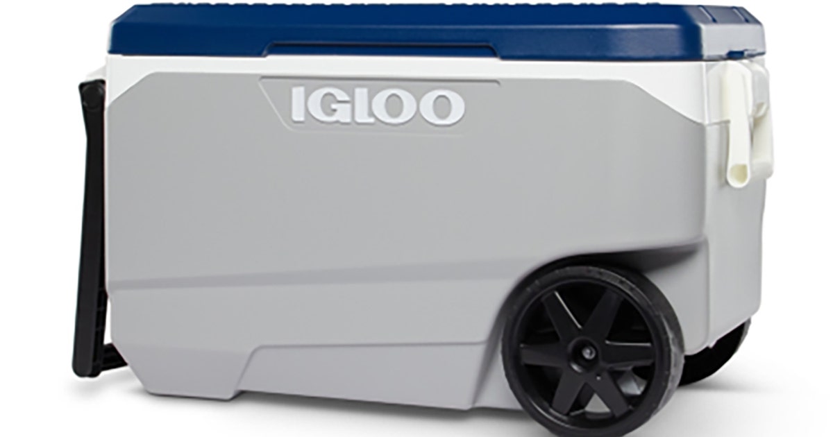 Igloo cooler recall expanded after more finger injuries reported: What ...