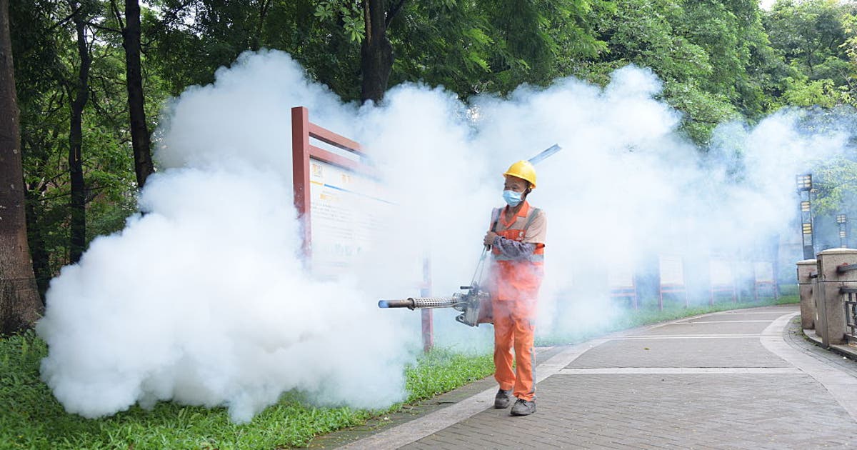 CDC issues travel warning over chikungunya outbreak in China | FOX 7 Austin