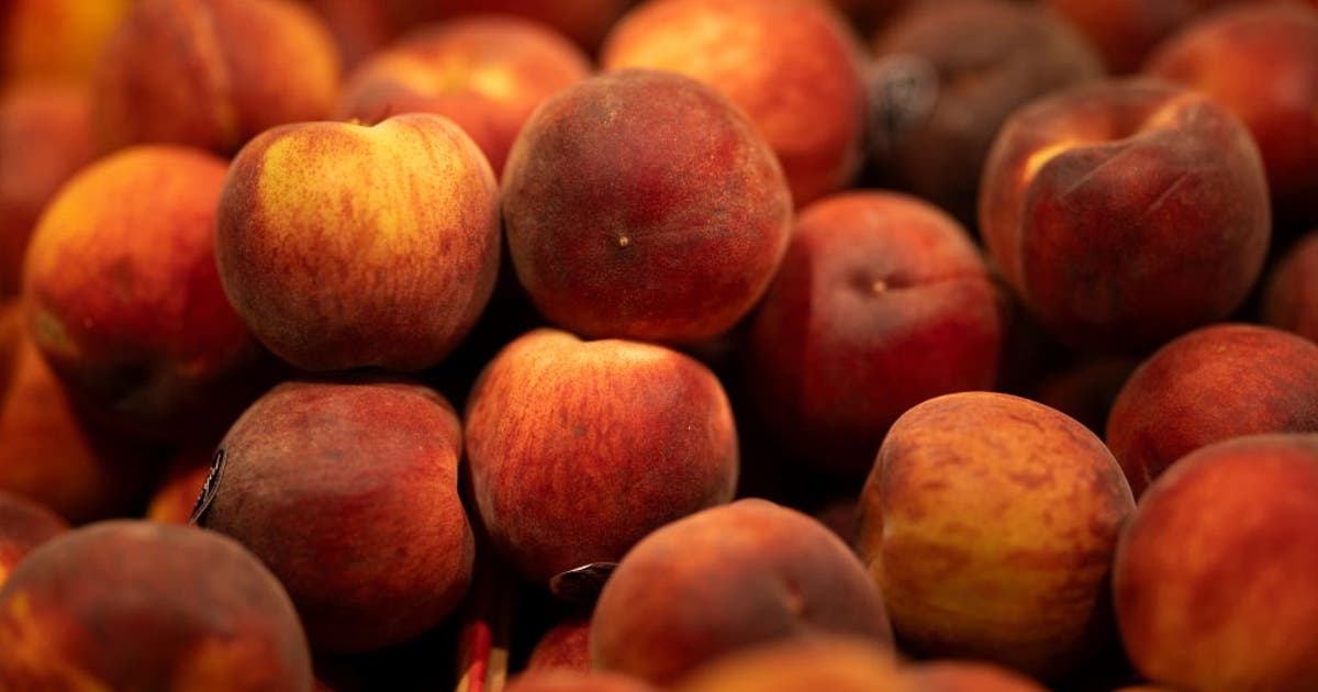 Peaches recalled nationwide over potential listeria risk | FOX 13 Seattle