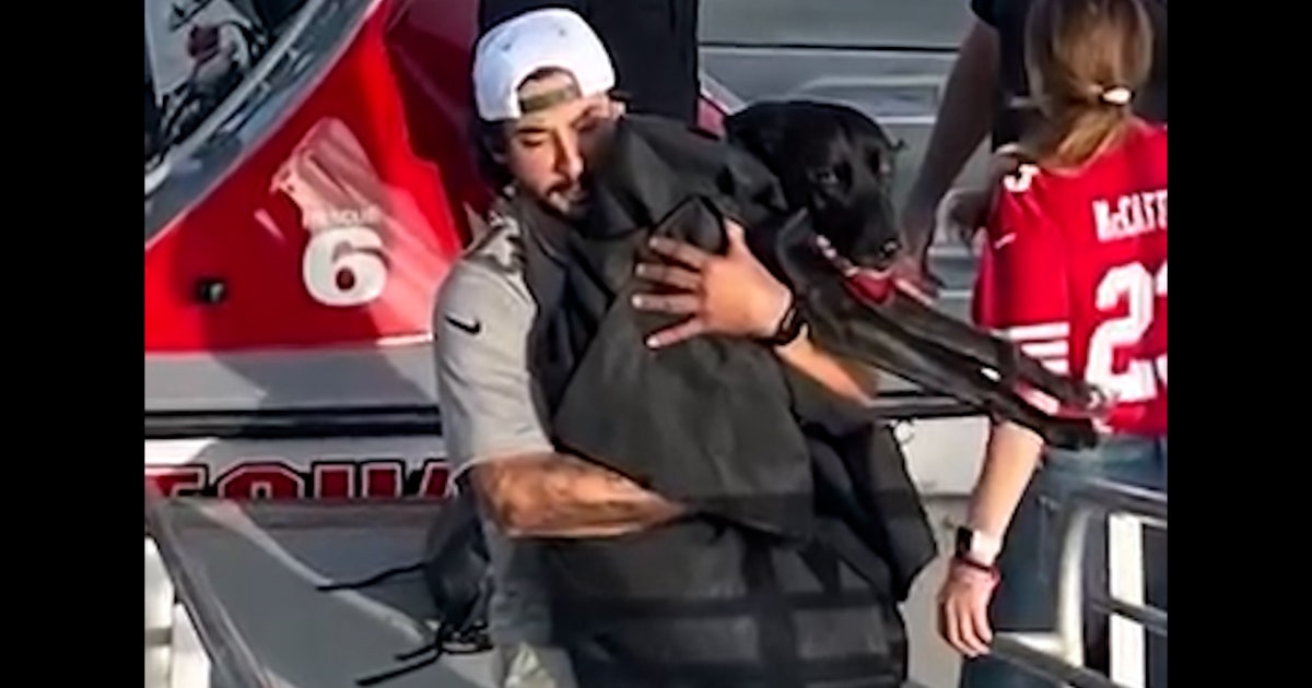 'A miracle happened': Lifeguards rescue runaway dog swept out to sea in ...
