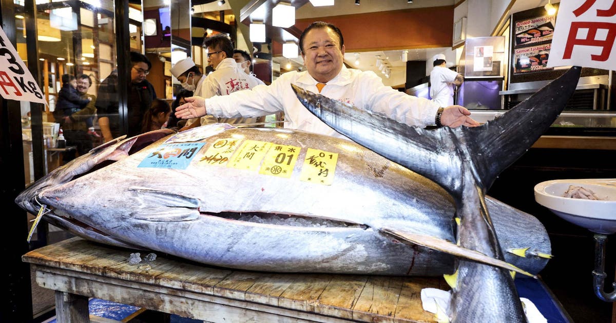 Japanese sushi chain shatters record, pays $3.24 million for single ...