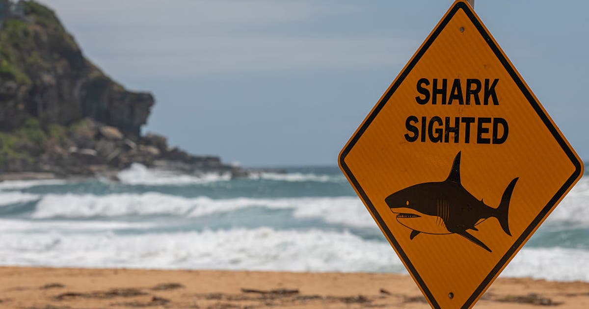 Boy, 12, killed in shark attack at cliff-jumping site | FOX 4 Dallas ...