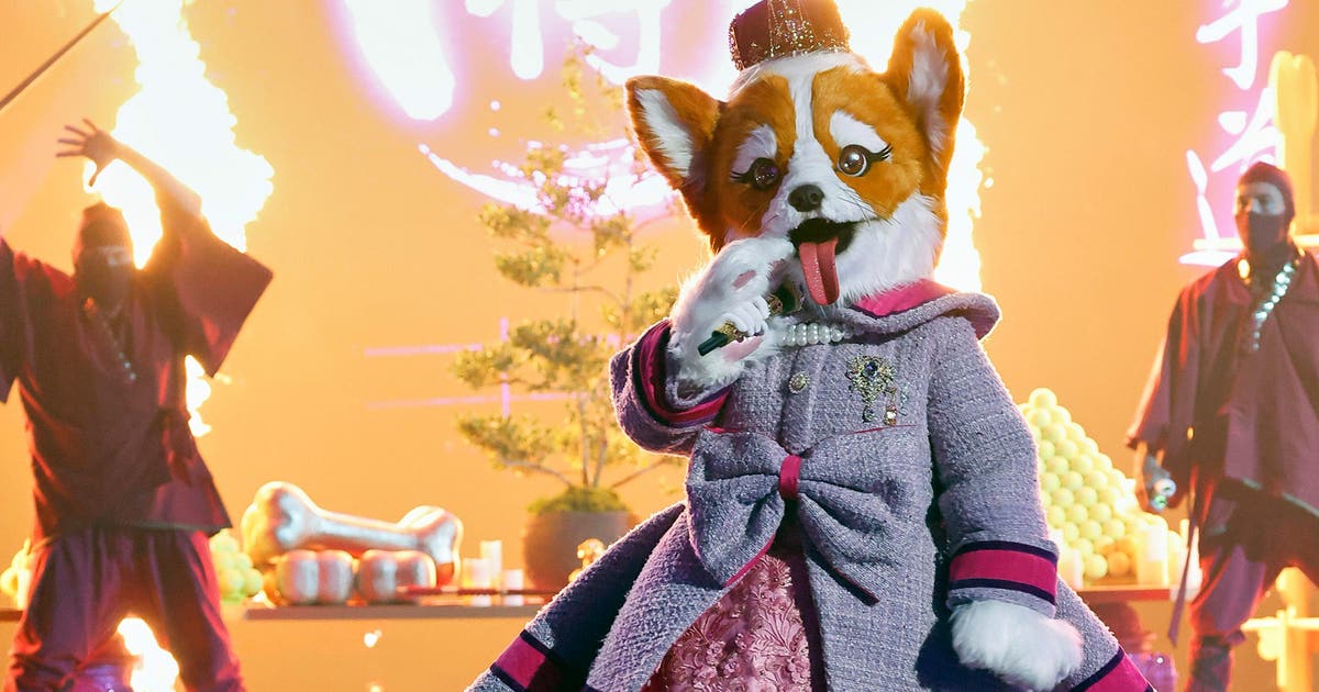 ‘The Masked Singer’: Queen Corgi chooses to leave competition; here’s ...