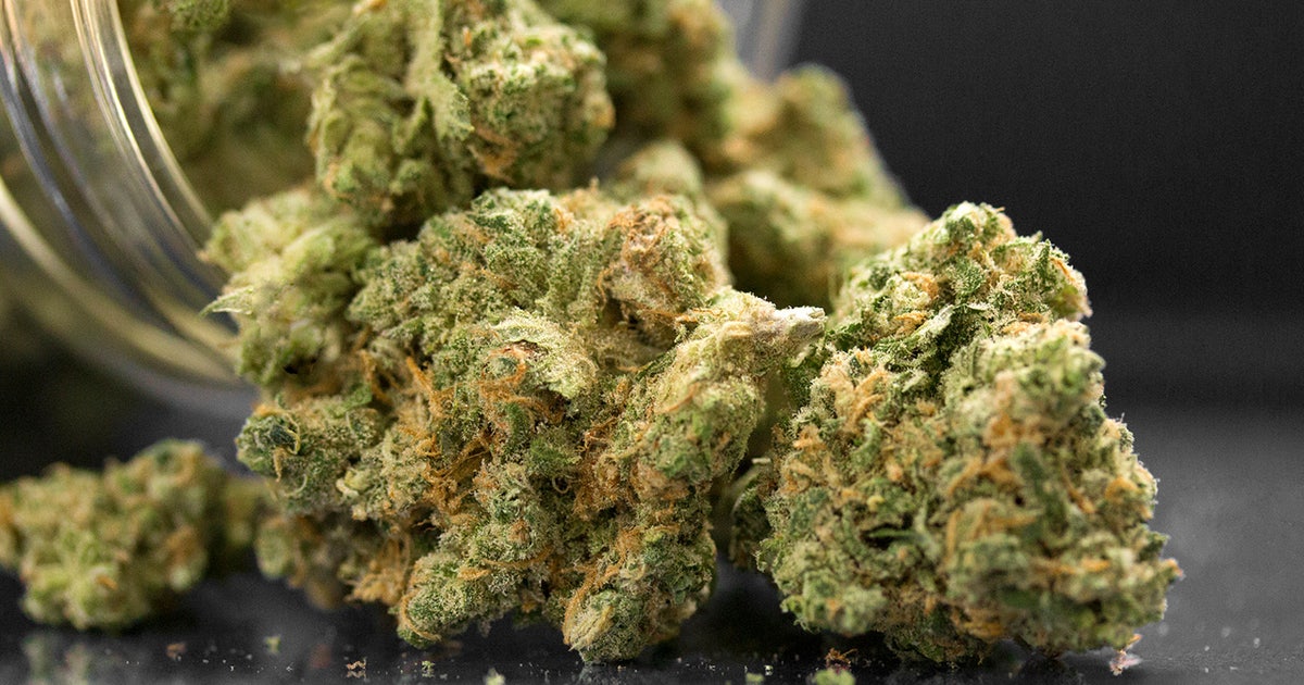 Cannabis compounds could reverse disease affecting one-third of adults ...