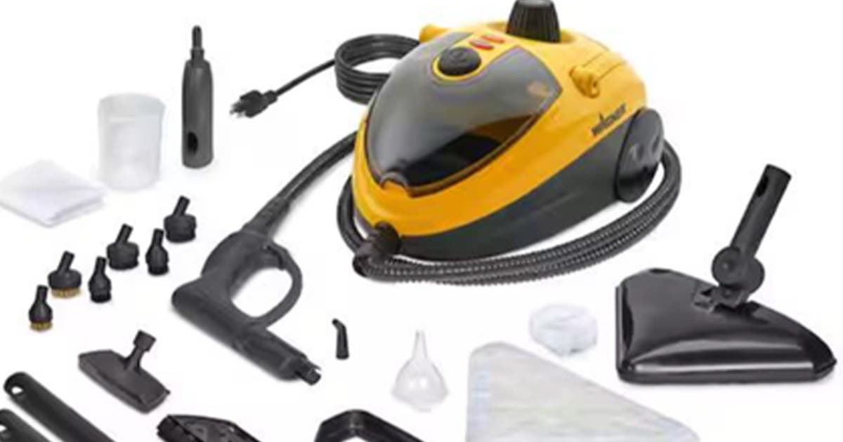 700,000 power steamers recalled due to burn hazard, CPSC says | FOX 2 ...