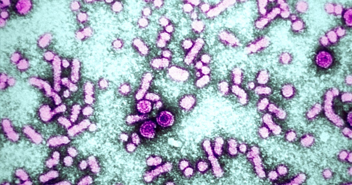 New hepatitis B drug may be a 'functional cure' for some people | FOX ...