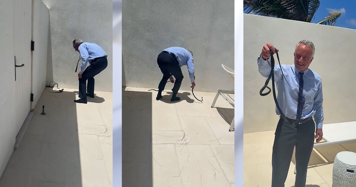 Watch: RFK Jr. wrangles snakes on Dr. Oz's patio | FOX 5 DC