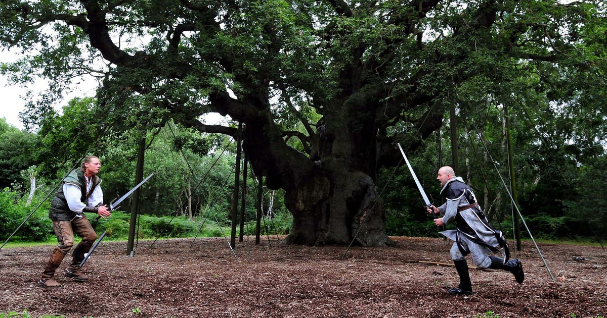 1,200-year-old 'Robin Hood' oak tree has died, experts say | FOX 26 Houston