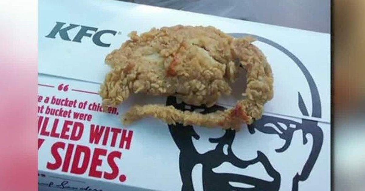 DNA test proves 'fried rat' was a chicken tender, KFC says | FOX 13 Seattle