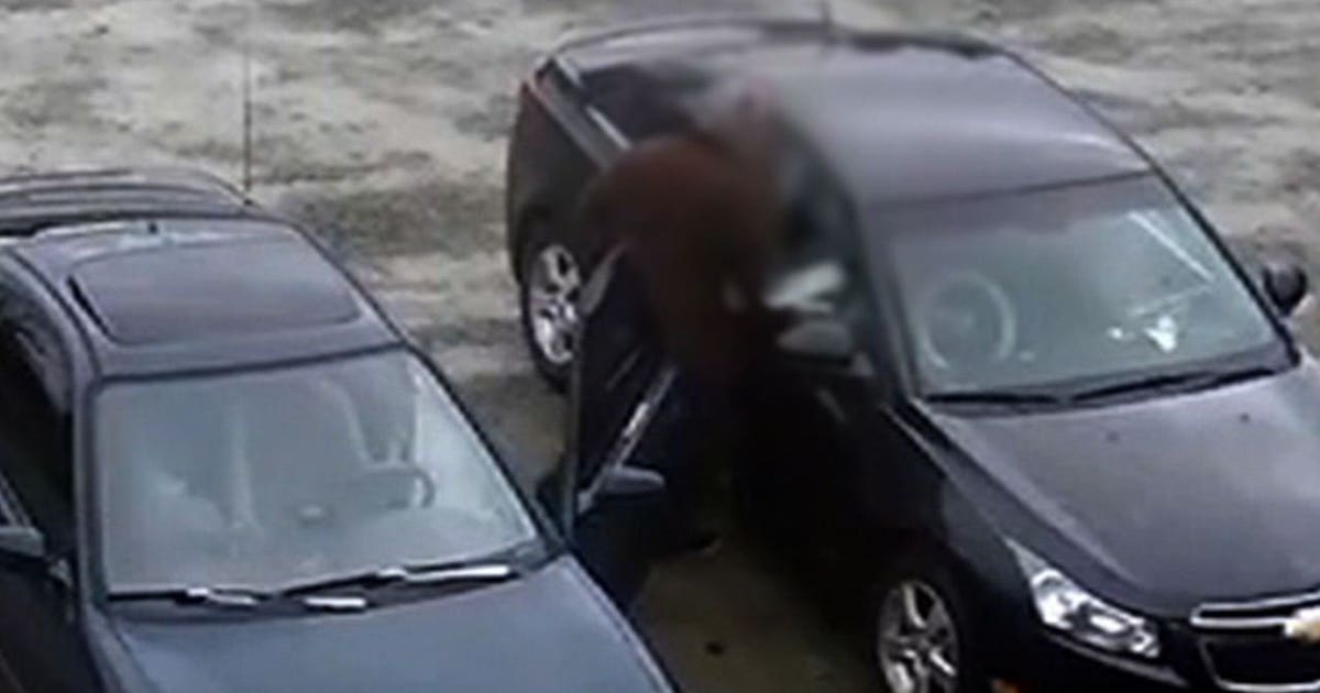 Car prowler strikes church parking lot during Sunday school | FOX 13 ...
