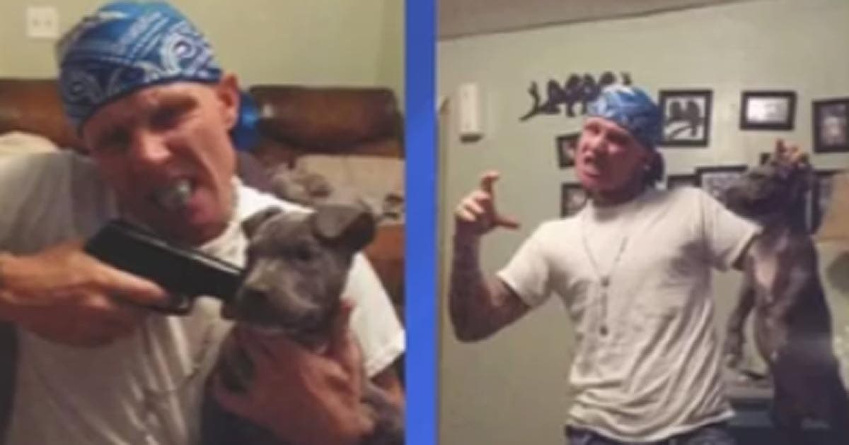 Man under fire for holding gun to dog's head posts apology | FOX 13 Seattle