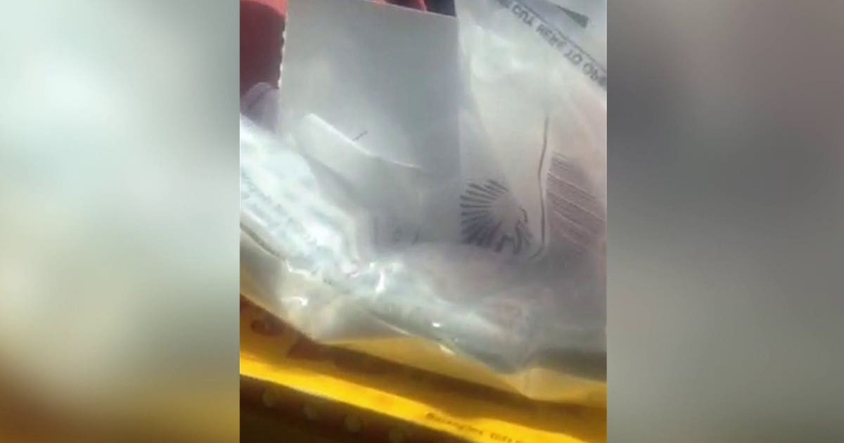 Man orders chicken at restaurant, finds $4,500 in Bojangles' bag | FOX ...