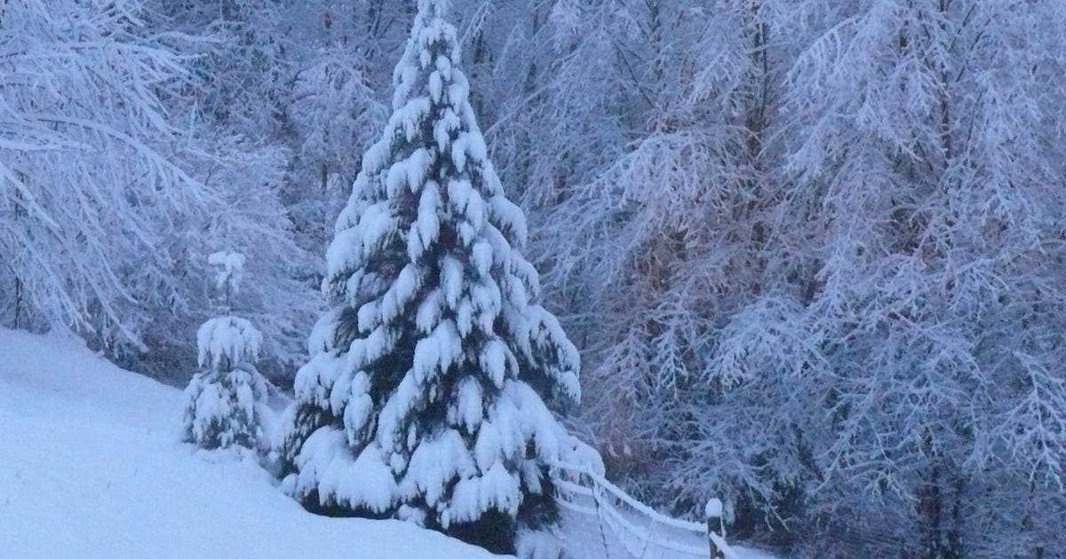 Washington state sees healthy snowpack levels | FOX 13 Seattle