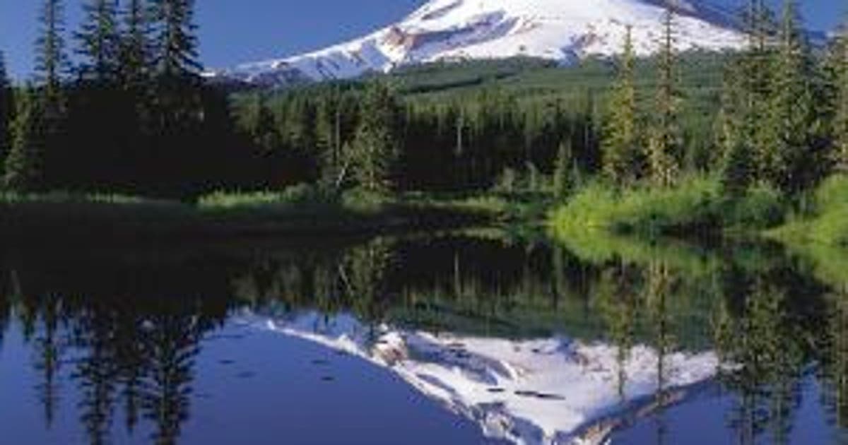 10-year-old falls 150 feet down a cliff | FOX 13 Seattle