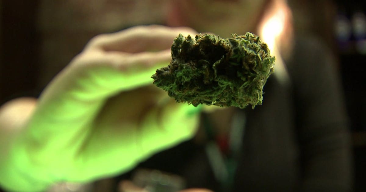 State inspectors detect undisclosed pesticides in marijuana-growing ...