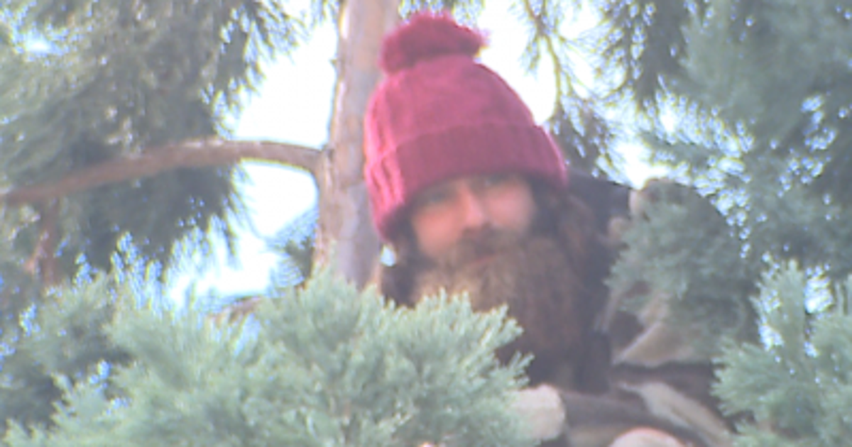 Judge finds probable cause to hold 'man in tree' behind bars; tree ...
