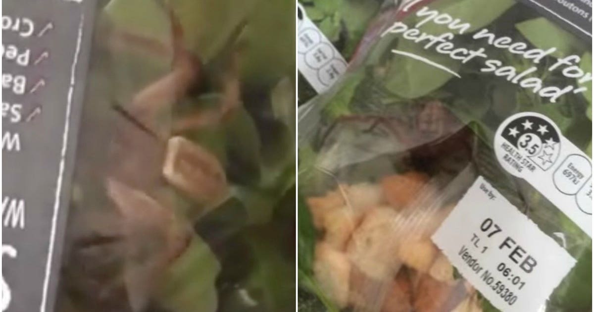 Family finds spider crawling inside bag of salad, video goes viral ...