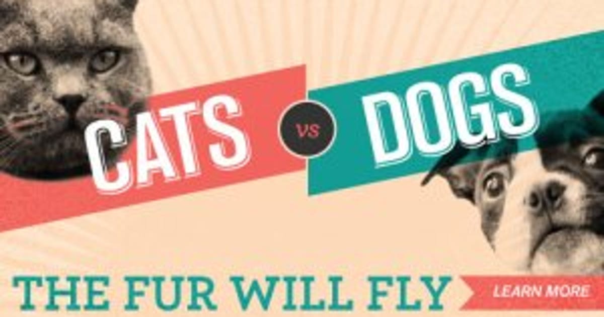 Your pet could be the next lotto superstar | FOX 13 Seattle