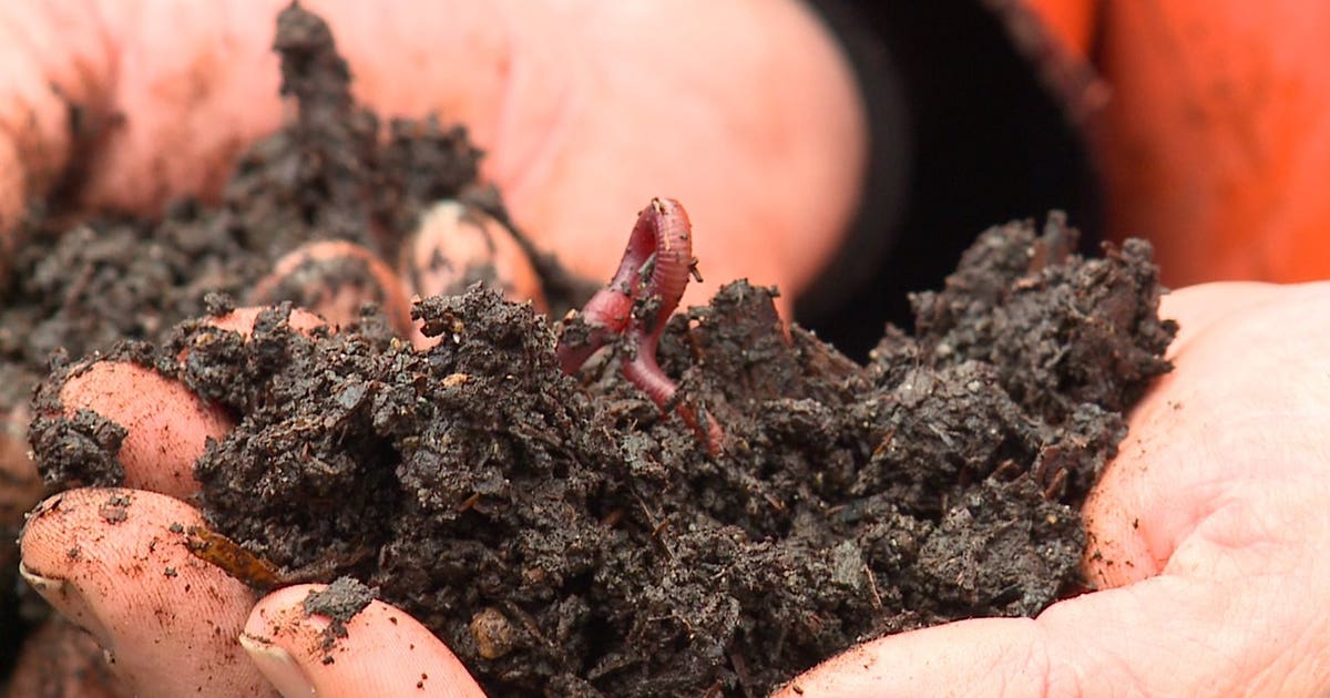 Woodland Park Zoo offering bulk orders of Zoo Doo compost | FOX 13 Seattle