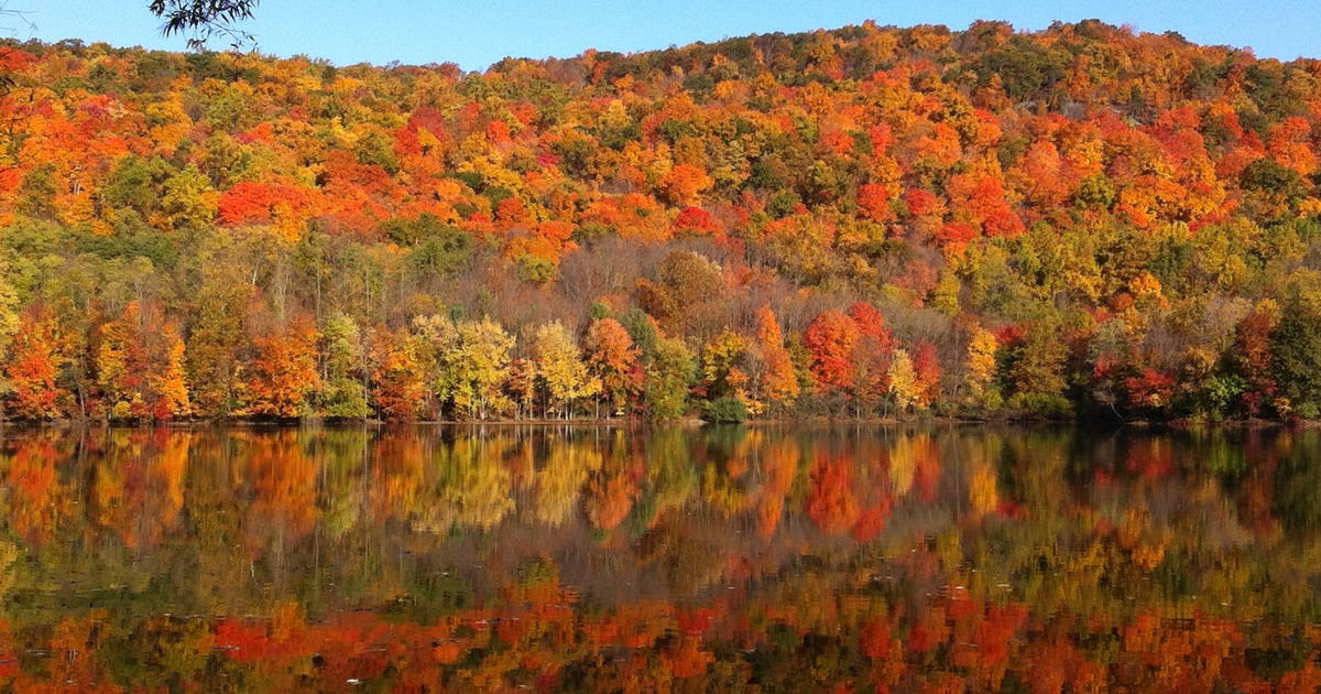 PHOTO GALLERY: Fall colors sweep across the U.S. | FOX 13 Seattle