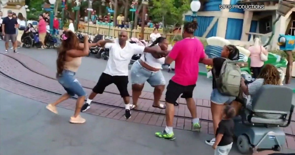 3 family members charged in connection to viral Disneyland brawl | FOX ...