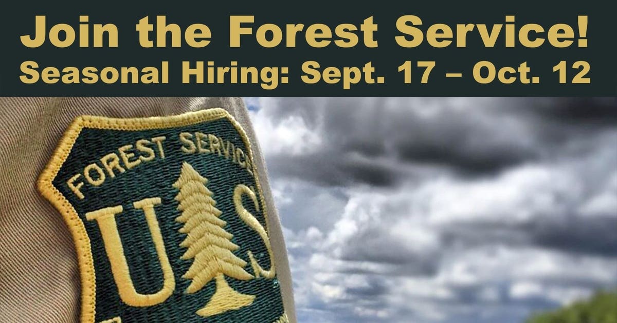 Need a job? The Forest Service is hiring 1,000 season positions in ...