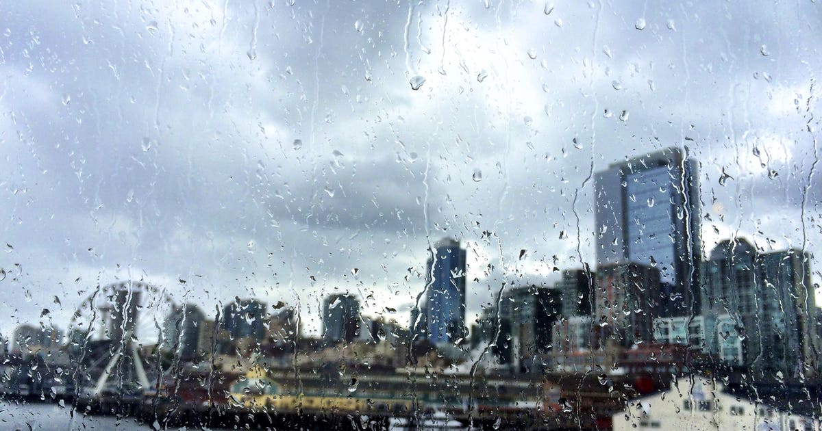 November weather outlook: Seattle's wet season has arrived | FOX 13 Seattle