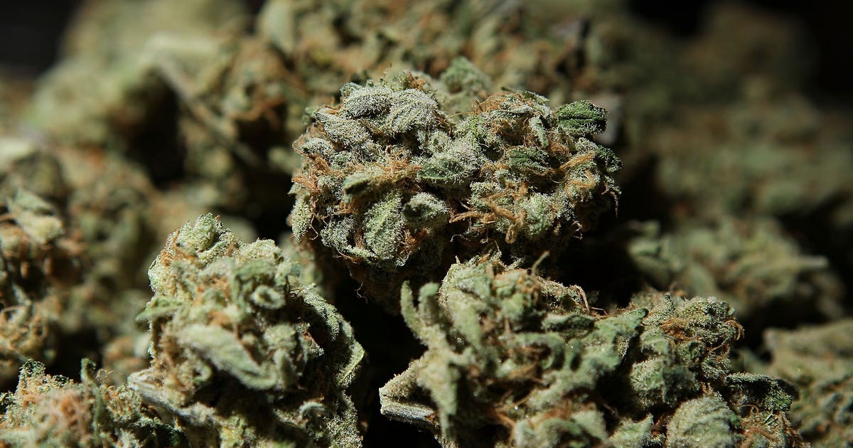 Survey shows who is buying Washington weed, and what kind they're ...