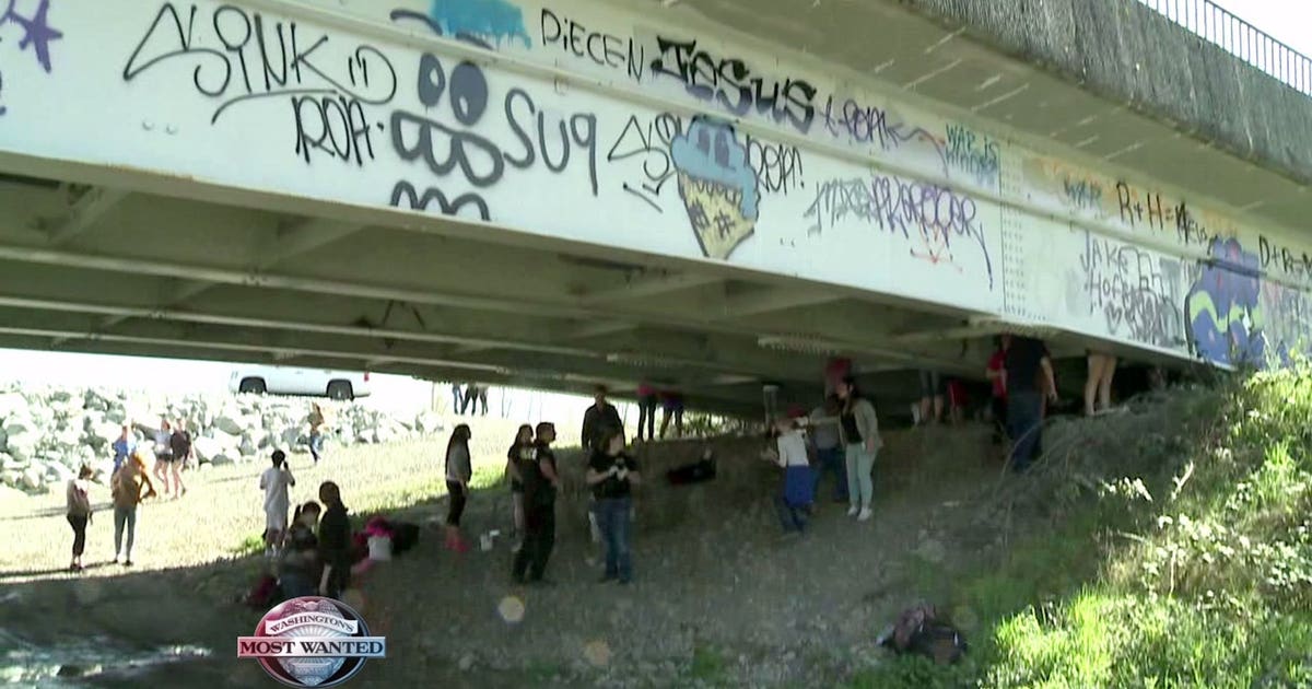 Community, students in Orting come together to clean up graffiti ...