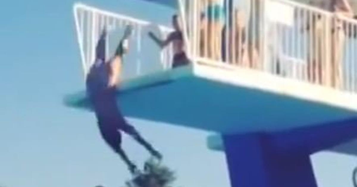 YIKES: Idaho swimmer's decision to forgo high dive jump comes second ...