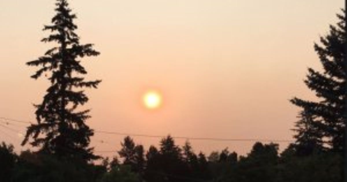 Wildfire smoke to drift into greater Seattle area | FOX 13 Seattle