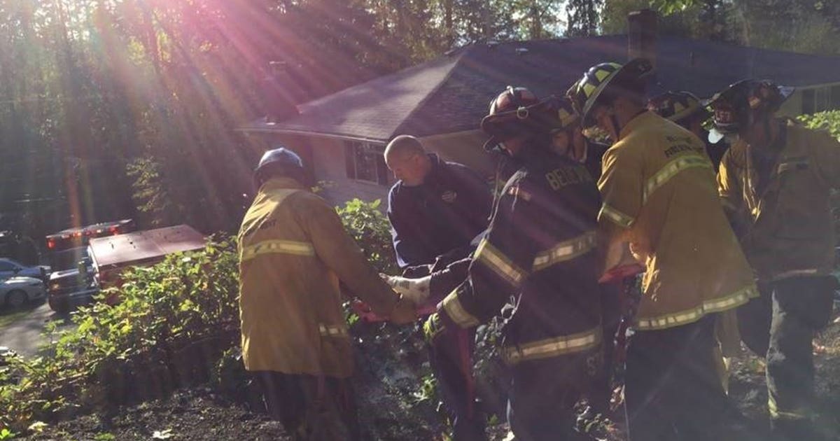 Crews rescue man pinned under tree in Issaquah | FOX 13 Seattle