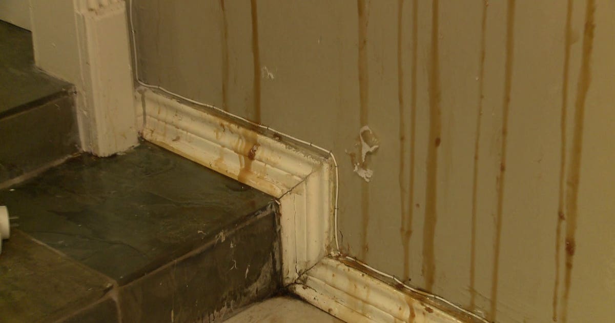 Bee infestation has honey dripping down walls of Texas home | FOX 13 ...