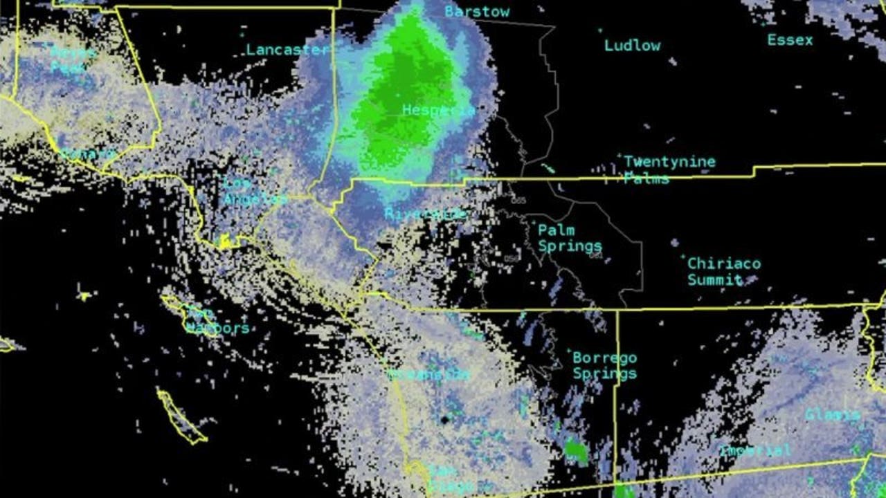 Ladybug 'bloom' shows up on National Weather Service radar | FOX 13 Seattle Ladybug 'bloom' shows up on National Weather Service radar | FOX 13 Seattle