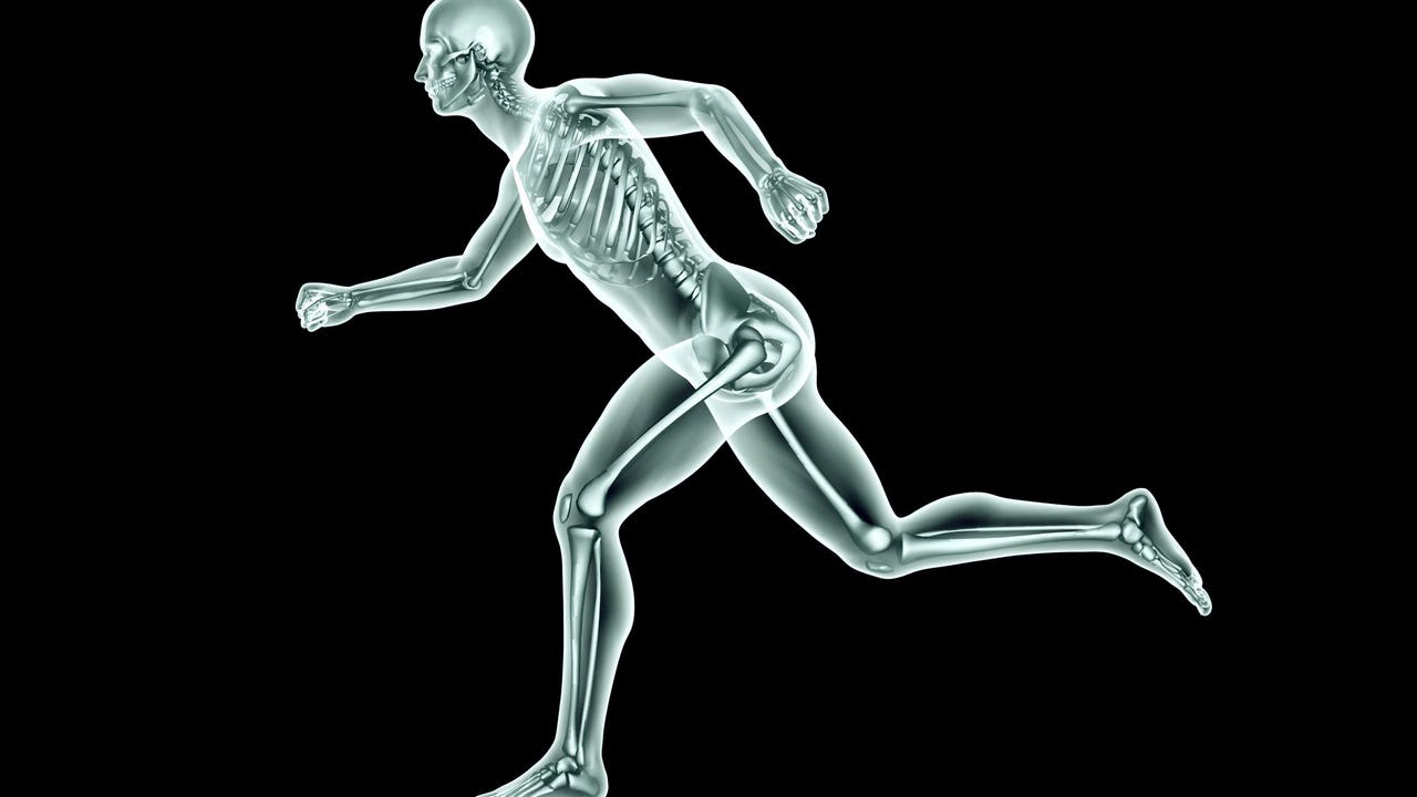 X-ray vision? New technology making it a reality for $300 | FOX 13 Seattle