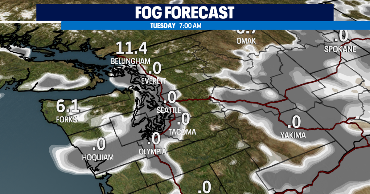 Freezing fog returns overnight! | FOX 13 Seattle