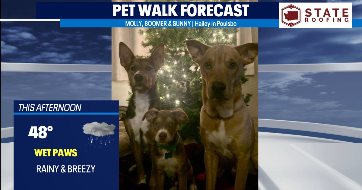 Active December weather | FOX 13 Seattle