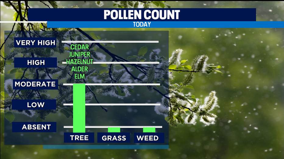Mild day, but changes ahead | FOX 13 Seattle