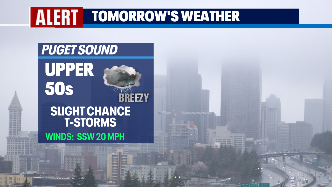 Weather Alert Day Thursday with widespread rain, windy conditions in ...