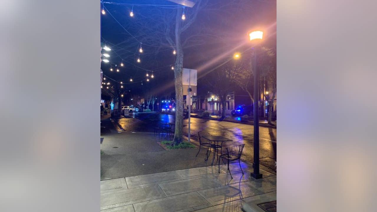 Kingston ferry terminal back open after bomb squad investigated ...