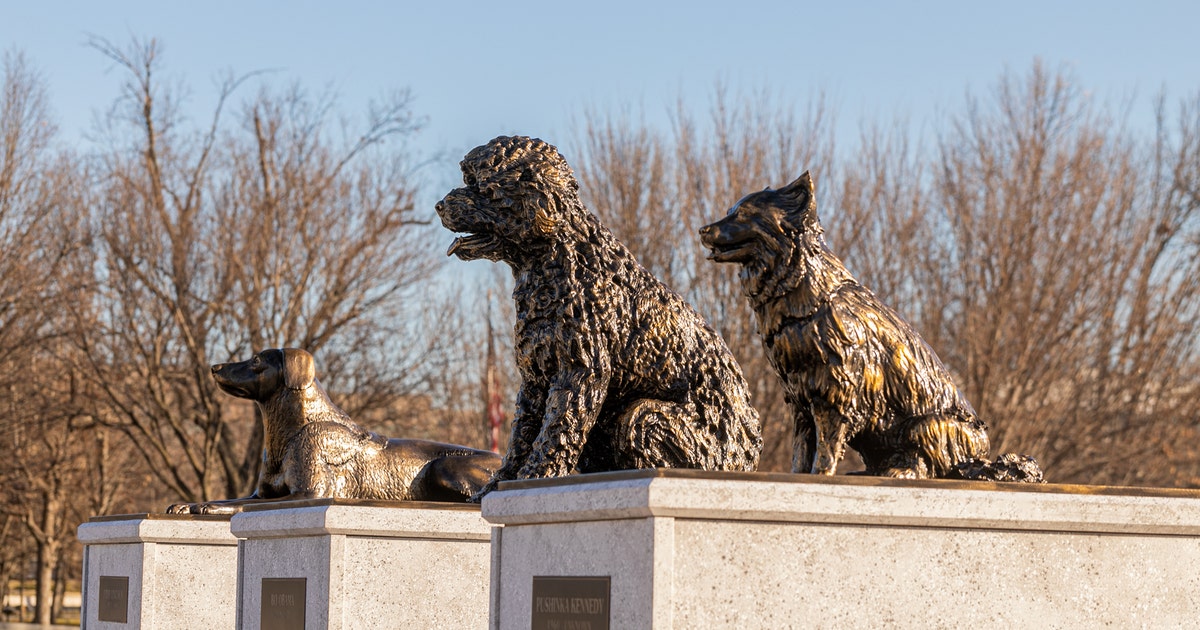 Statues of presidential dogs unveiled at Lincoln Memorial | FOX 13 Seattle
