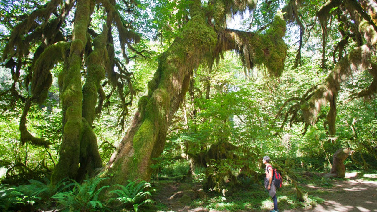 Here s Why Doctors Across The US Are Prescribing A Day In Nature For Here s Why Doctors Across The US Are Prescribing A Day In Nature For