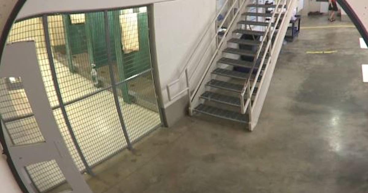 State paid $69,500 taxpayer dollars to people in jail so far this year ...