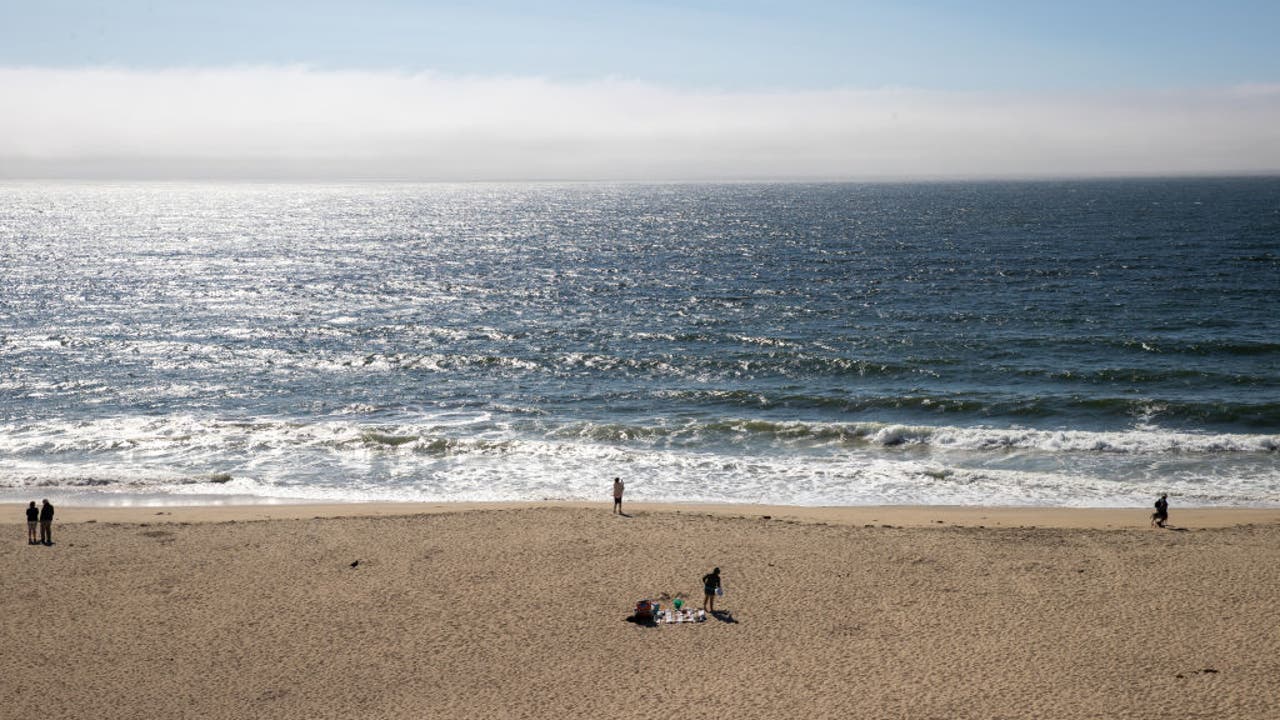 Californians plagued with feet-eating 'mini-shark' bugs | FOX 13 Seattle