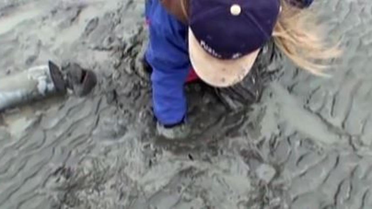 WDFW announces 56 tentative days of coastal razor clam digs starting ...