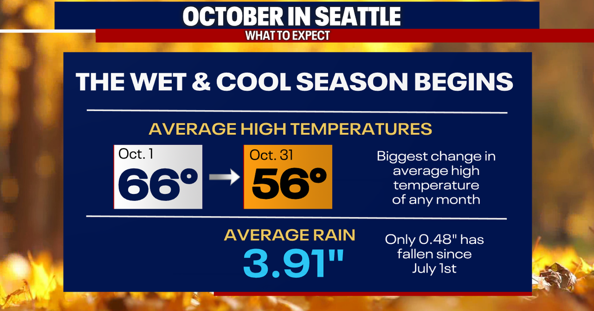 Seattle weather: Feeling like summer in October | FOX 13 Seattle