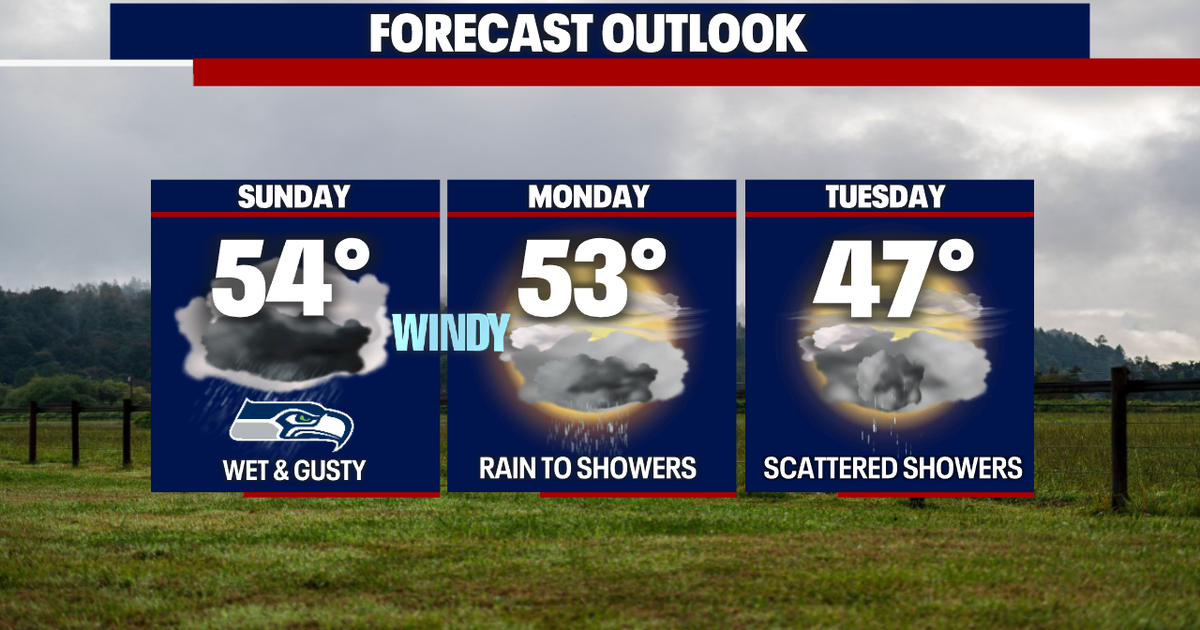 Puget Sound: Seahawks Sunday brings rain, wind on Halloween | FOX 13 ...